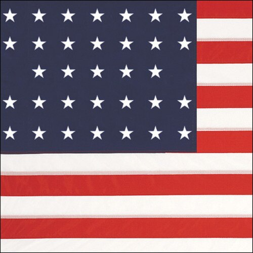 3'X5' Nylon 33 Star Flag | Carrot-Top Flags