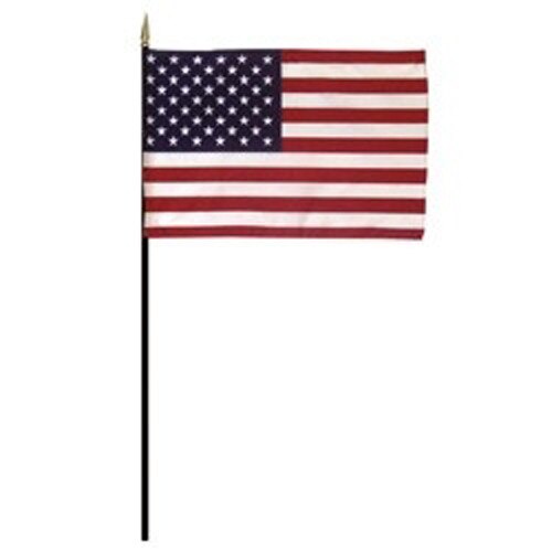 American Flag for Classroom - Mounted | Carrot-Top Flags