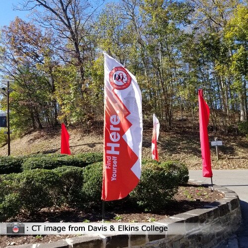 Buy Custom Flutter Flags | Made in the U.S.A | Carrot-Top Flags