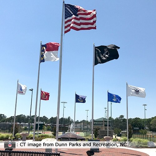 Armed Forces Flag Set | Carrot-Top Flags