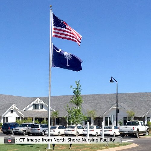 Outdoor South Carolina State Flags | Made in the U.S.A | Carrot-Top Flags