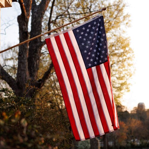 Patriarch Polyester American Flag | Carrot-Top Flags