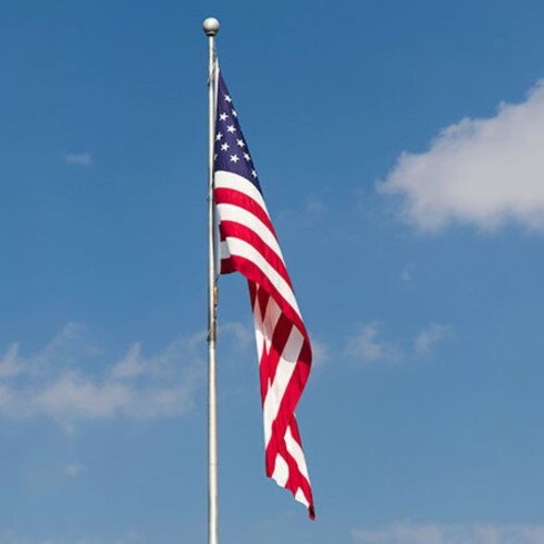 Patriarch Polyester American Flag | Carrot-Top Flags