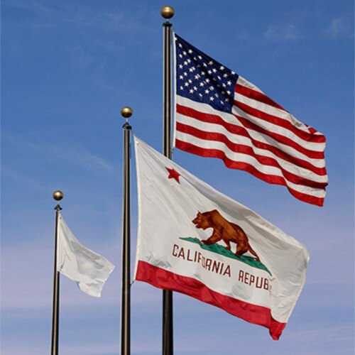 Patriarch Polyester American Flag | Carrot-Top Flags