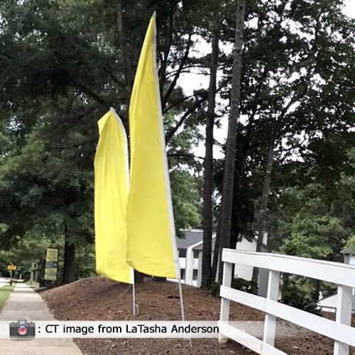Solid Color Feather Flags | Carrot-Top Flags