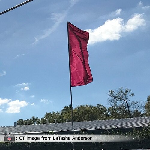 Solid Tall Advertising Flags | Carrot-Top Flags