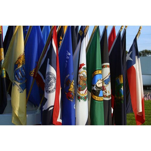 Set of 50 State Flags | Made in the USA | Carrot-Top Flags