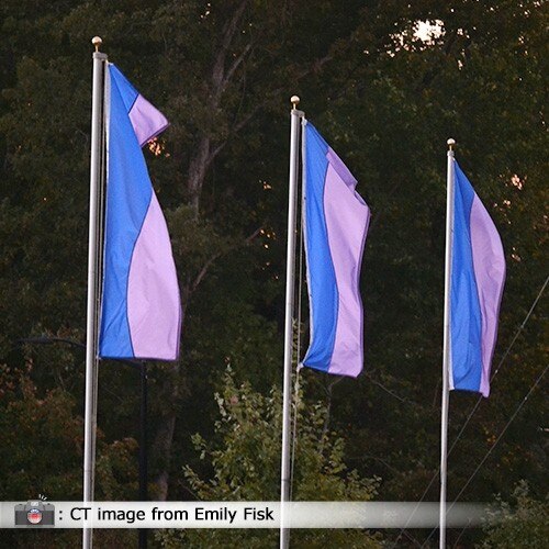 Custom 2-Color Tall Flags | Carrot-Top Flags