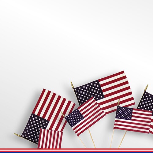 American Flags, State Flags, Military Flags | Carrot-Top Industries