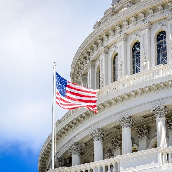 American Flags, State Flags, Military Flags | Carrot-Top Flags
