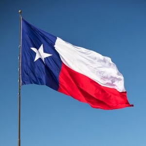 SuiteWorld | Carrot-Top Flags